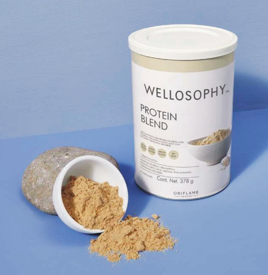 Wellosophy – Preguntas frecuentes en Batidos (Antes Wellness by ...