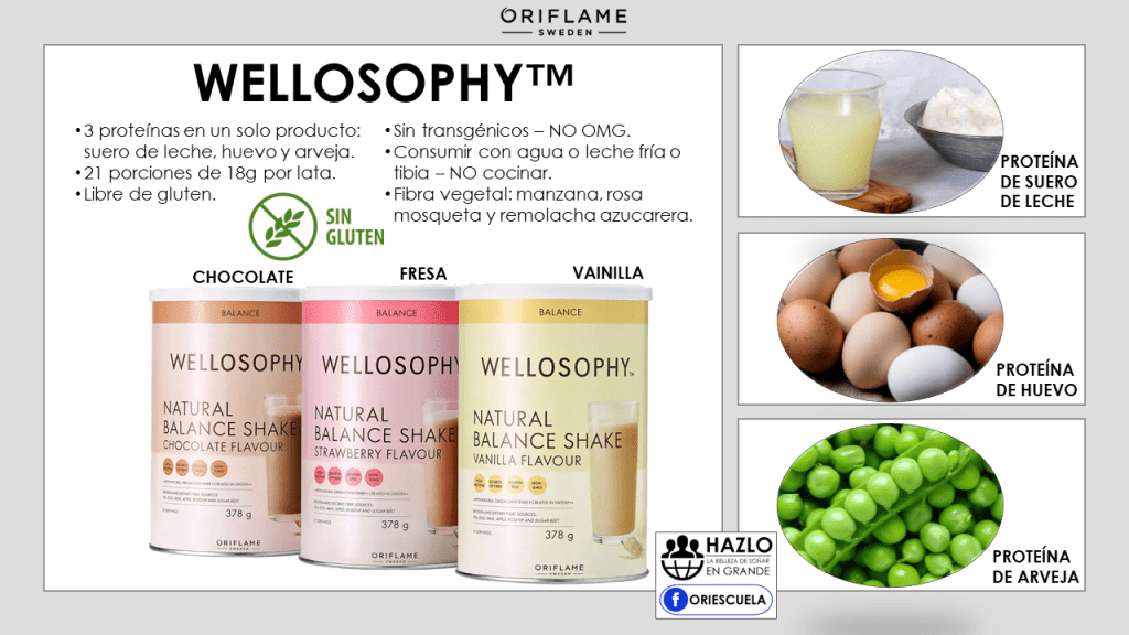 Wellosophy – Preguntas frecuentes en Batidos (Antes Wellness by ...