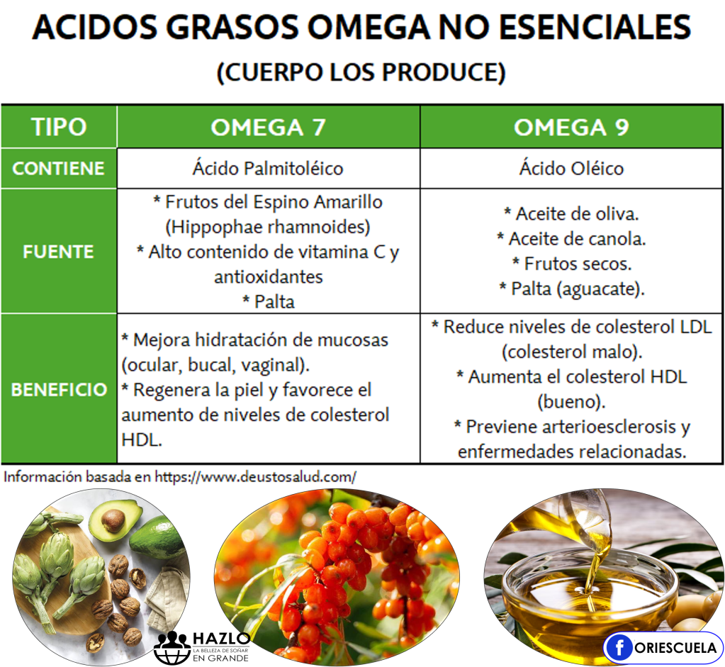 ¿Qué es el Wellosophy Omega 3? Conceptos y Beneficios « Ori-Escuela con ...