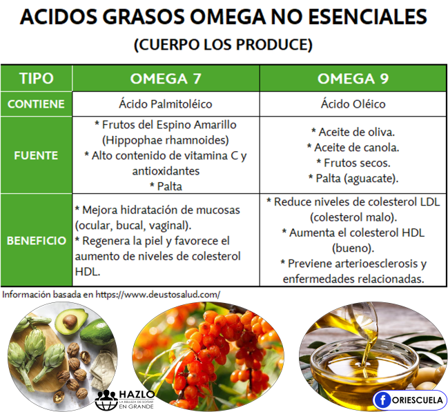 ¿Qué es el Wellosophy Omega 3? Conceptos y Beneficios « Ori-Escuela con ...