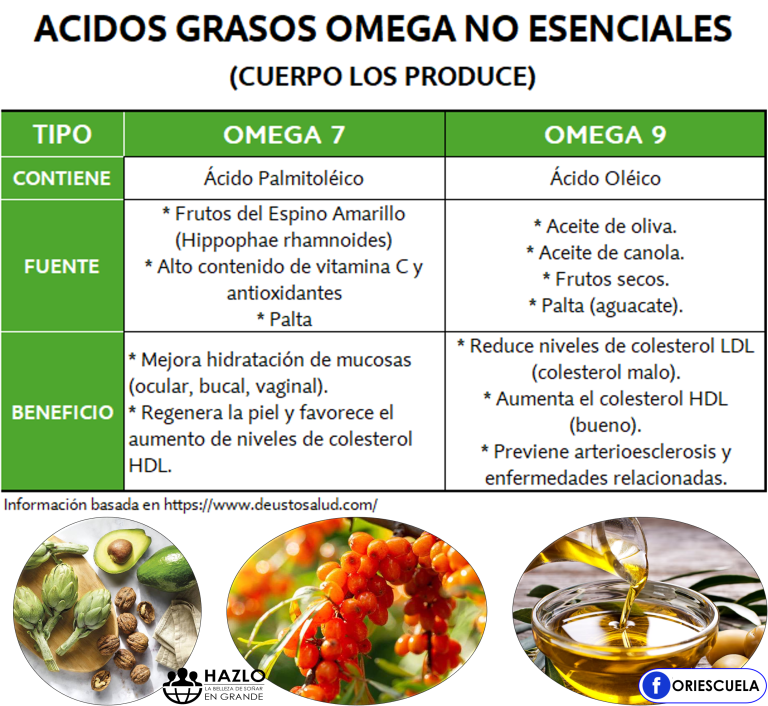 ¿Qué es el Wellosophy Omega 3? Conceptos y Beneficios « Ori-Escuela con ...